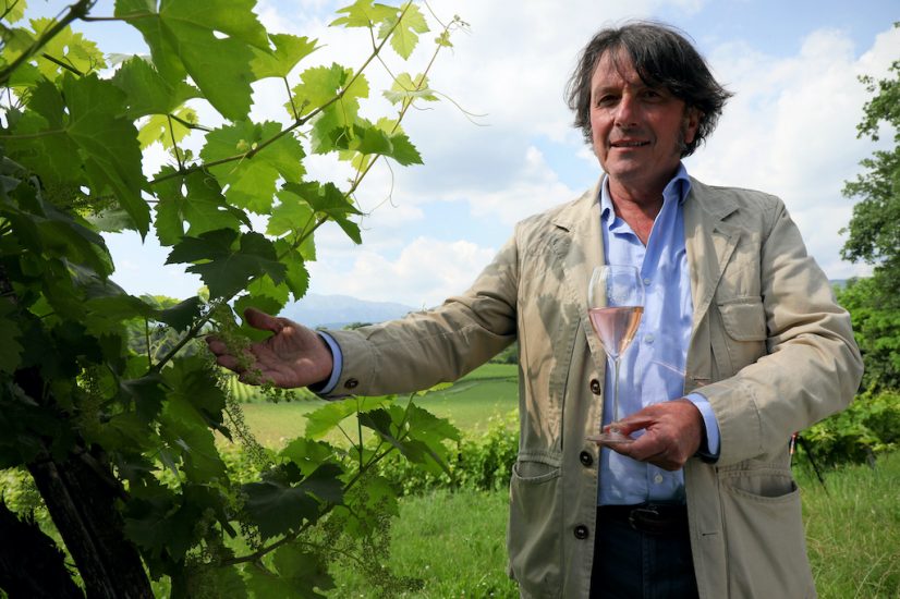 Prosecco Rosè conquering the world: green light from the EU to the new ...