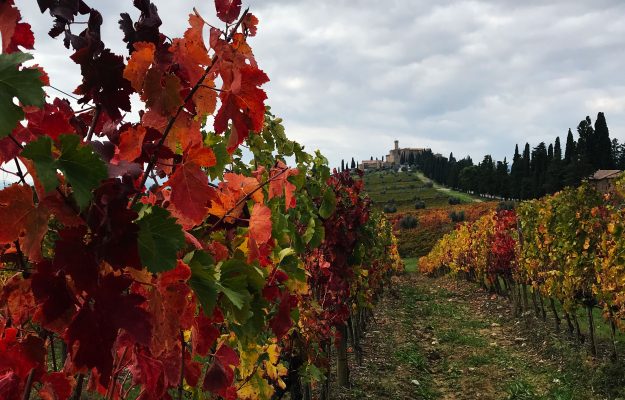 Dopo la vendemmia, i colori del foliage: una tavolozza tra i vigneti e ...