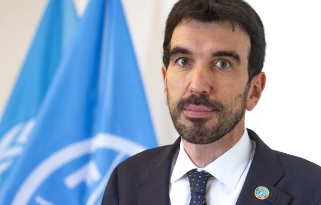 Il futuro tra cibo di qualità, insetti e cibi sintetici e chi lotta ...