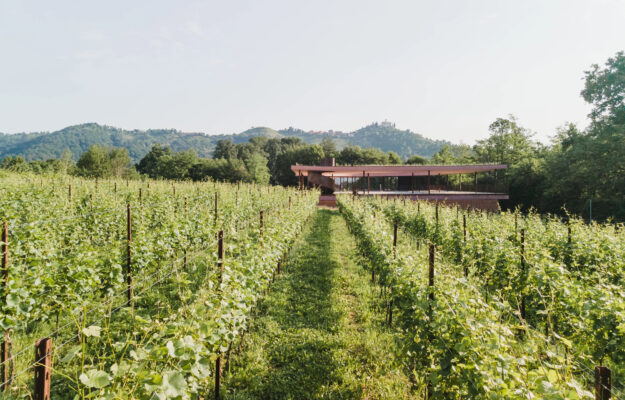 “Italian Architecture Award” 2024 to the Ceresé designer winery in the ...